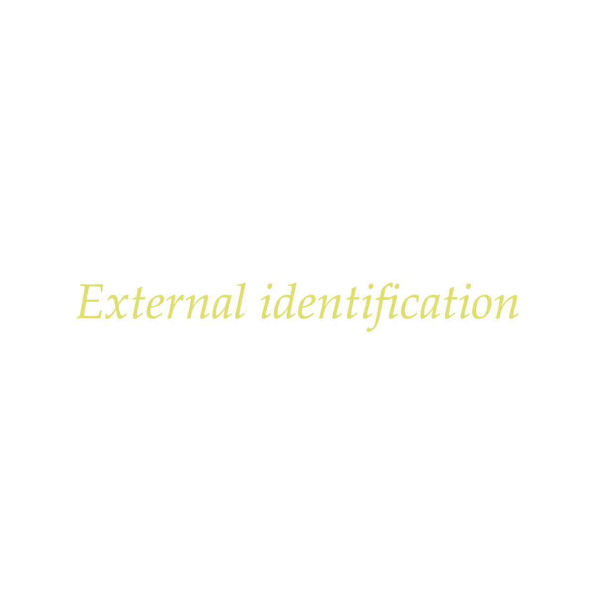 External identification – Graph workflow